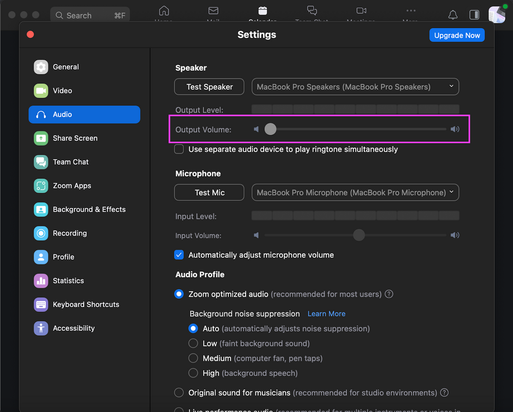 How To Mute a Zoom Meeting (Mobile & PC)