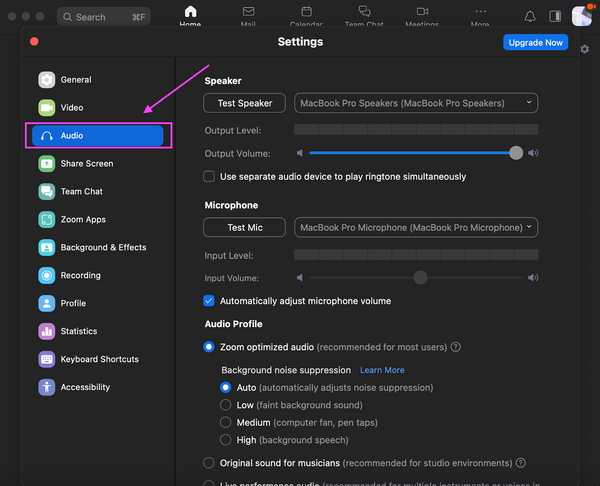 How To Mute a Zoom Meeting (Mobile & PC)