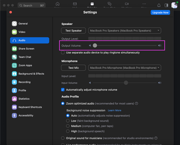 How To Mute a Zoom Meeting (Mobile & PC)